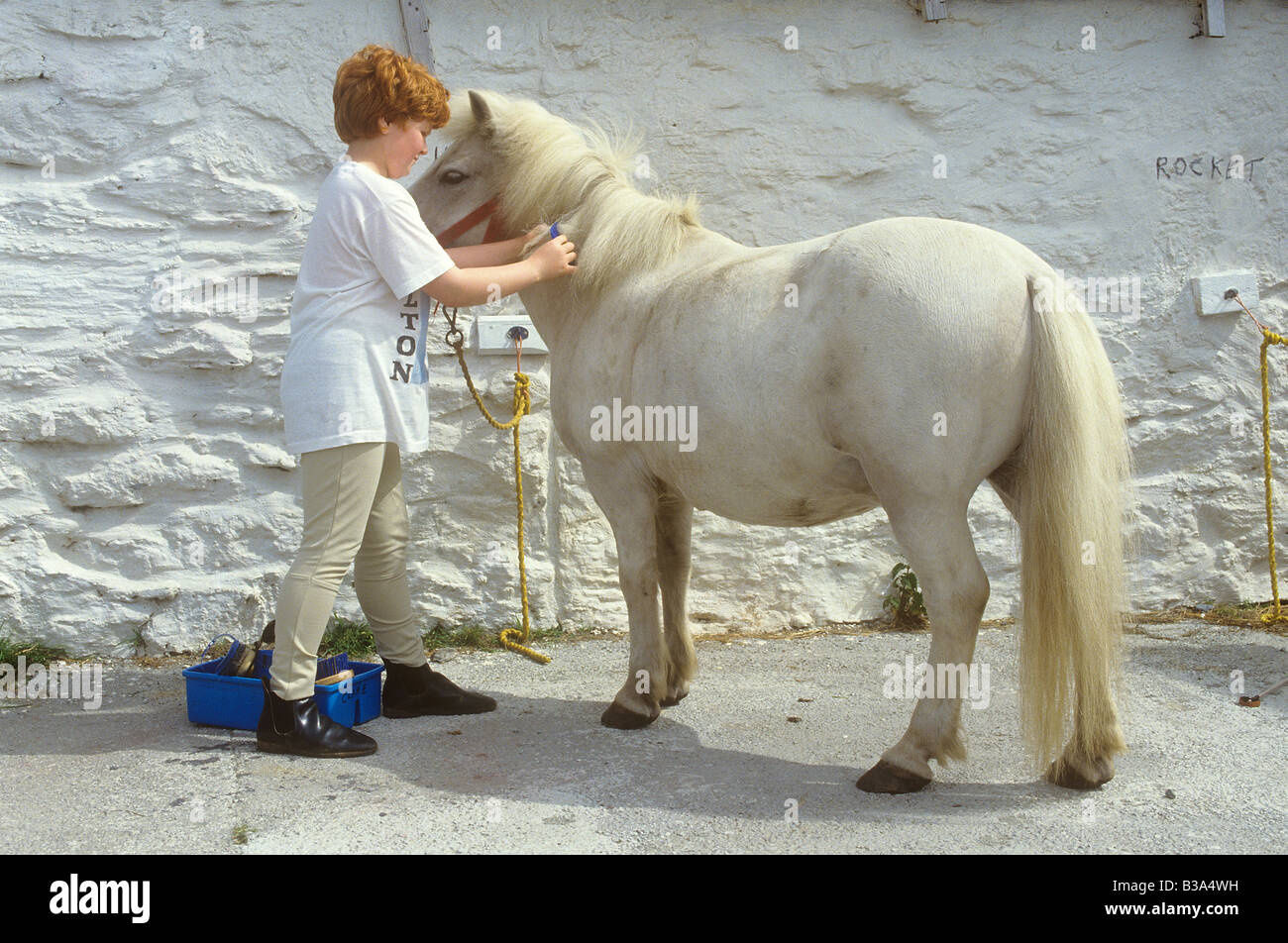 riding school: shetland pony with child Stock Photo - Alamy