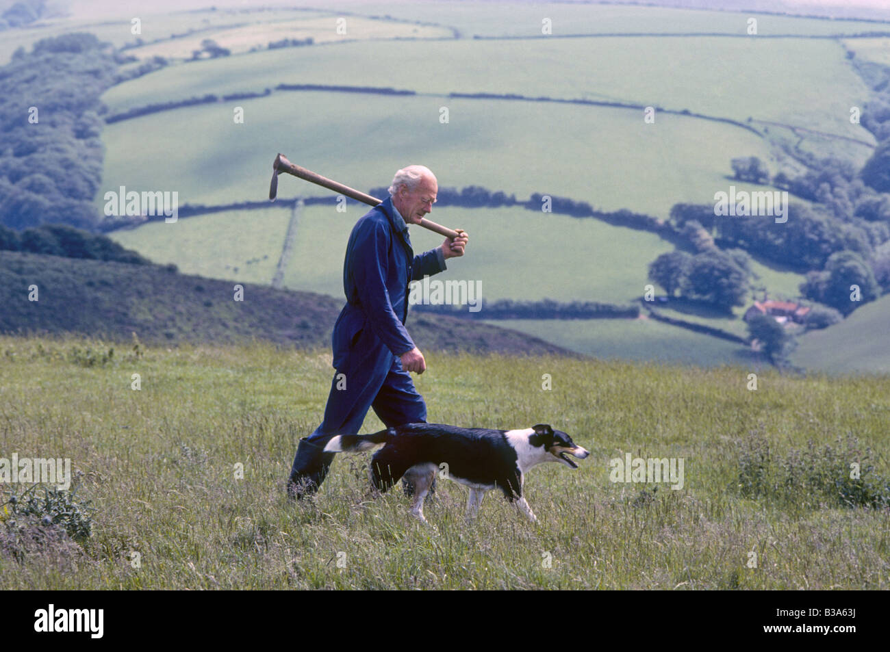 English Farmer With Dog High Resolution Stock Photography and Images ...