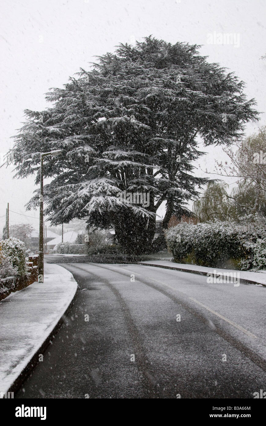 Snow on road, Cedar Tree, Biggin Hill Kent England UK Stock Photo - Alamy