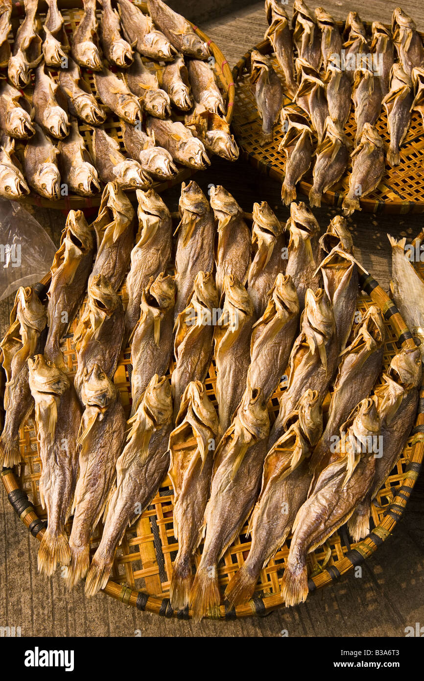 Macau china animal animals hi-res stock photography and images - Alamy