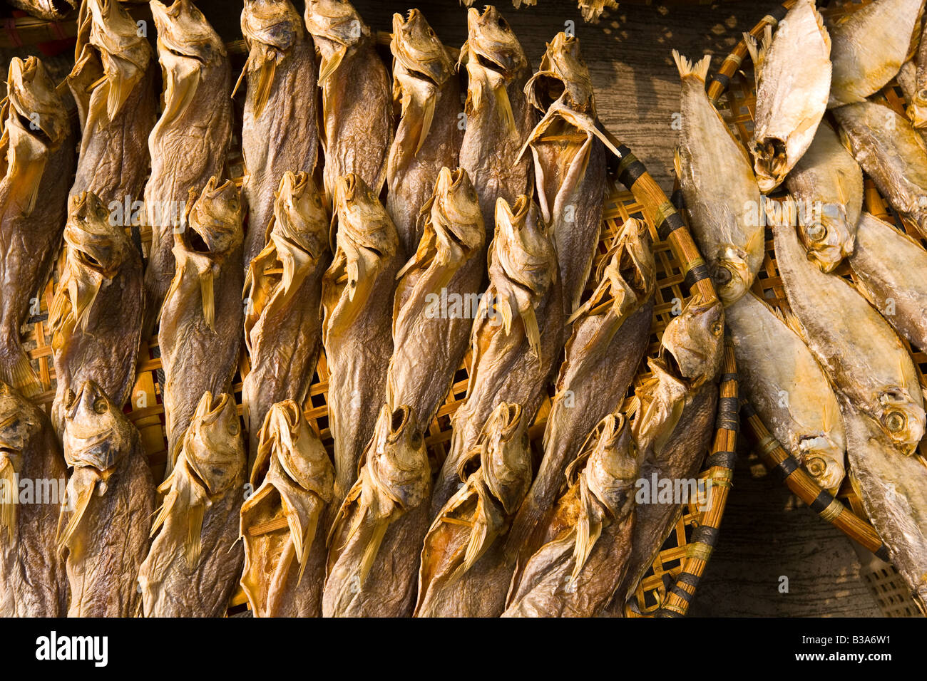 MACAU CHINA Closeup of dried fish in market Stock Photo - Alamy
