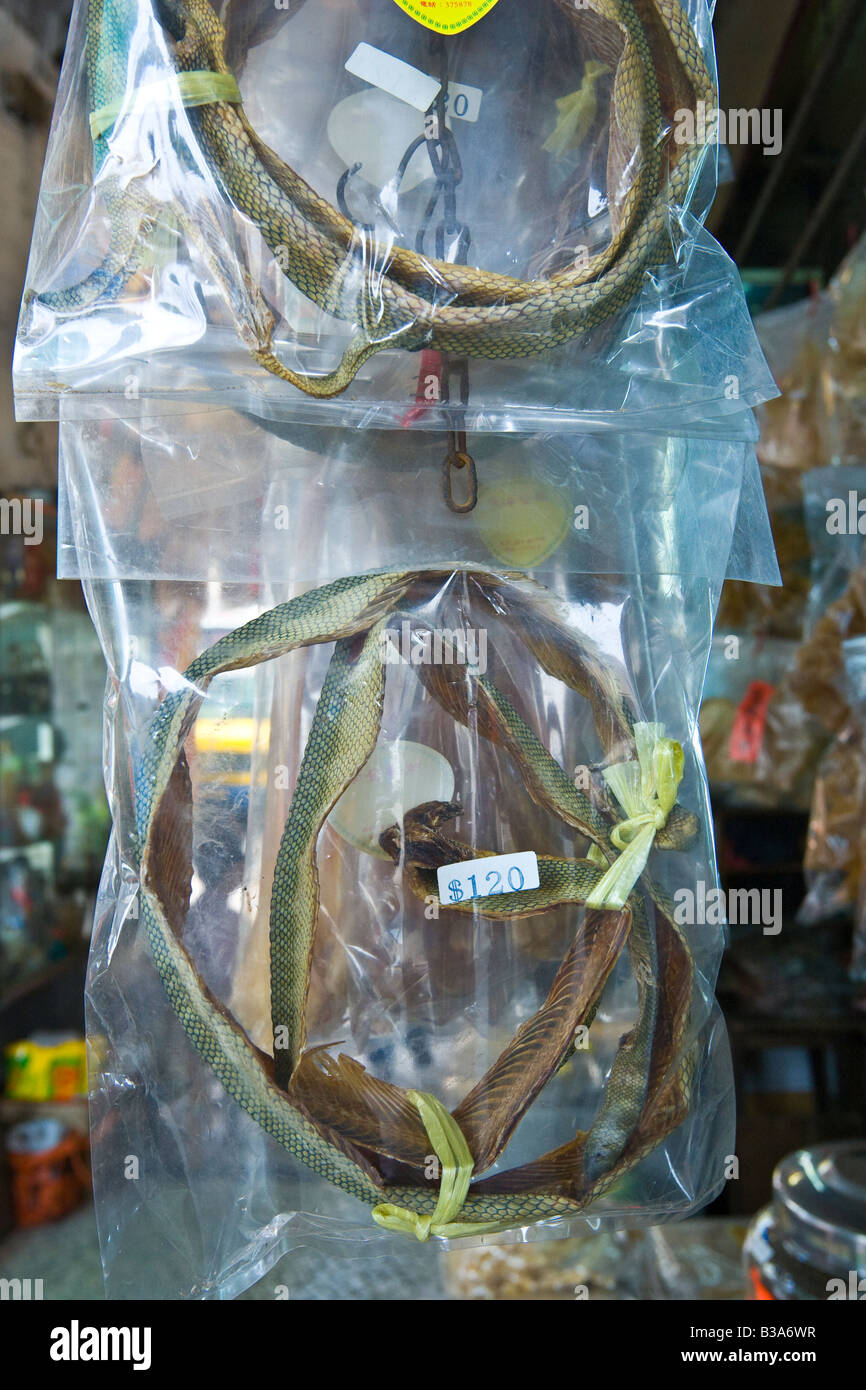 Macau china animal animals hi-res stock photography and images - Alamy