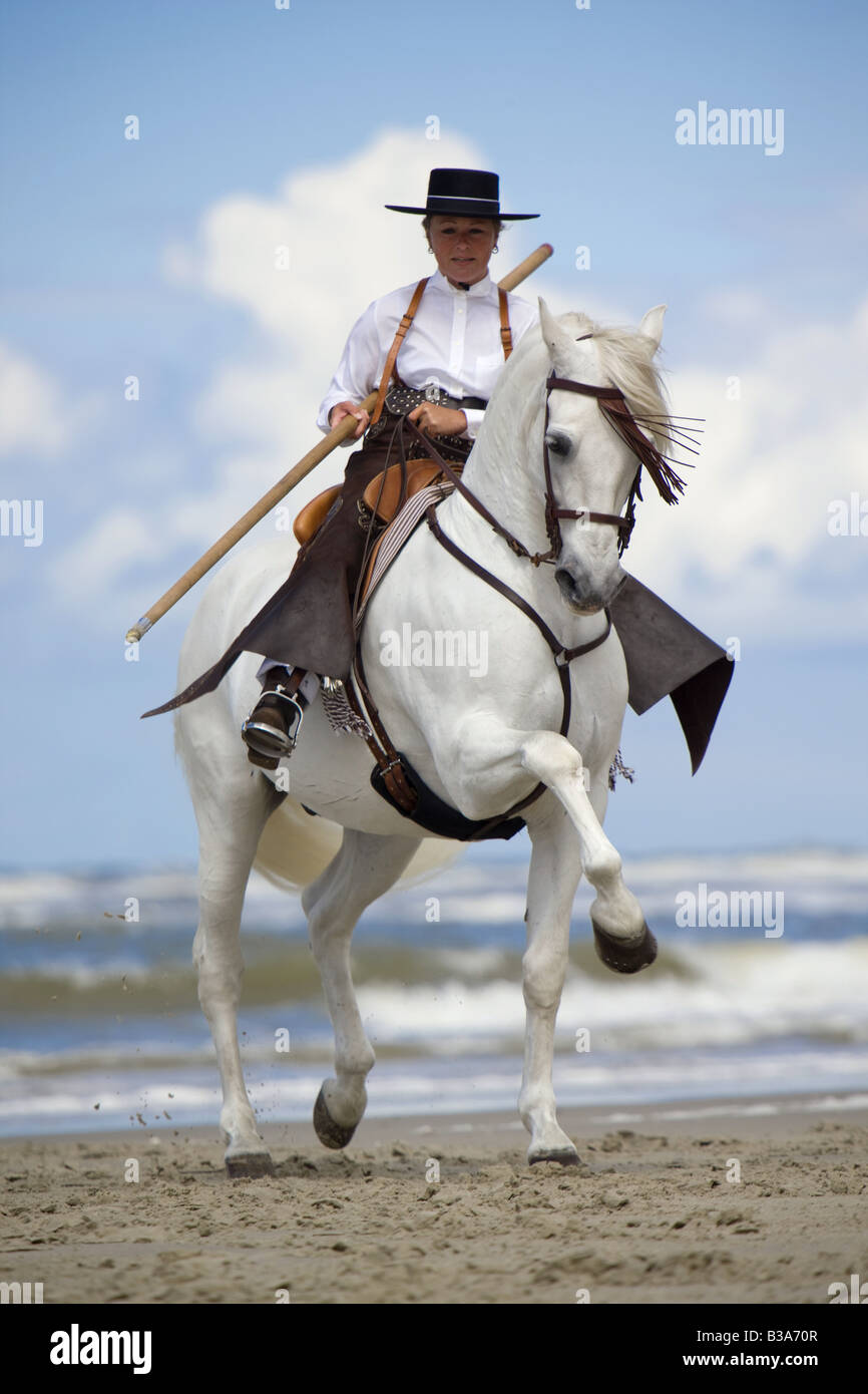Horse rider performing spanish walk hi-res stock photography and images ...