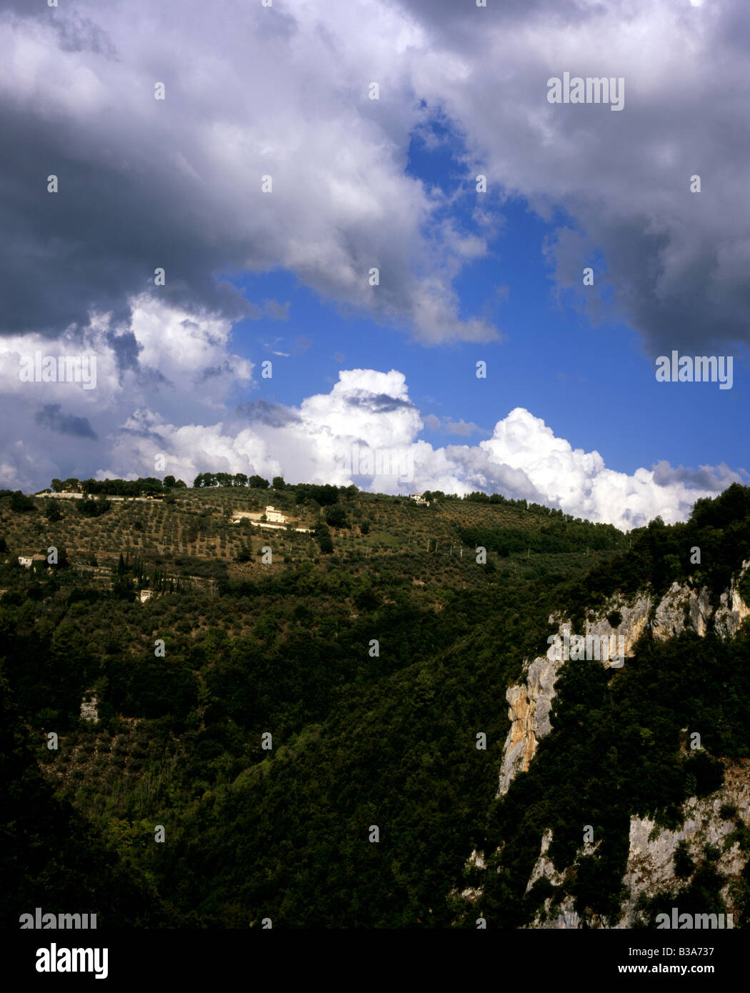 Steep wooded gorge, limestone outcrop, Olive Groves, Olea europaea and ...
