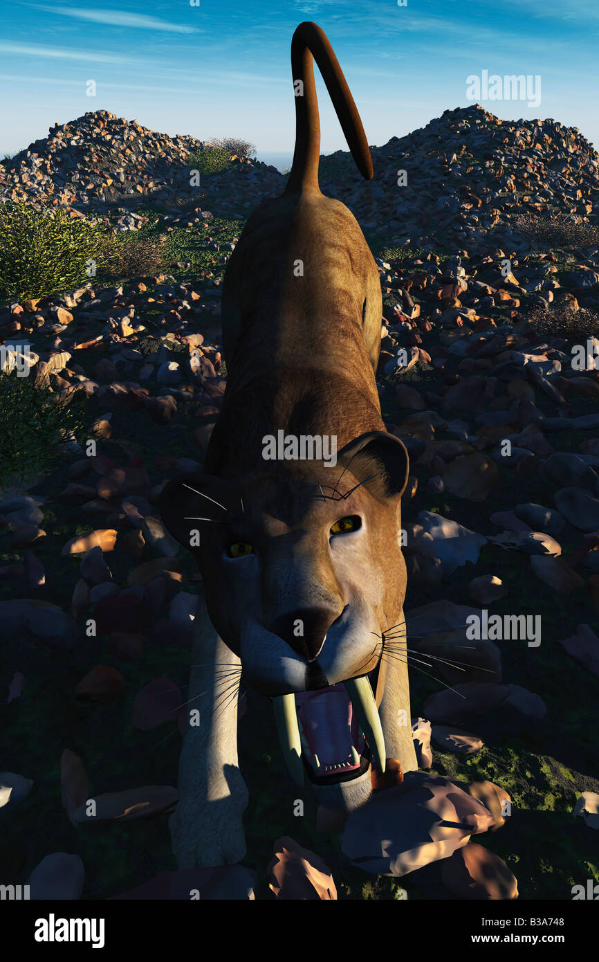 Sabertooth hi-res stock photography and images - Alamy