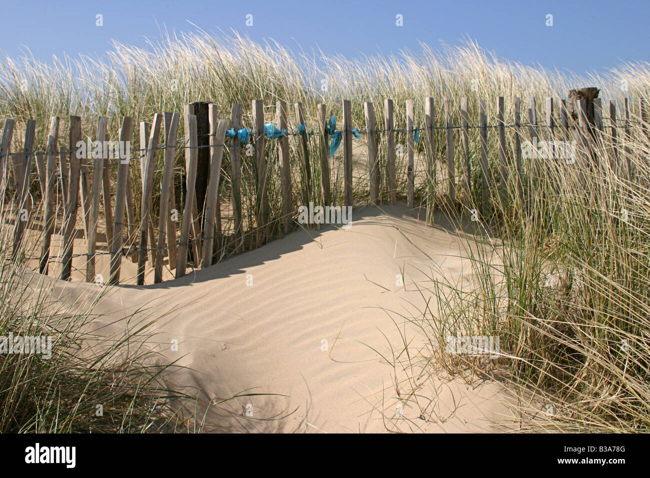 Coastal fence hi-res stock photography and images - Alamy