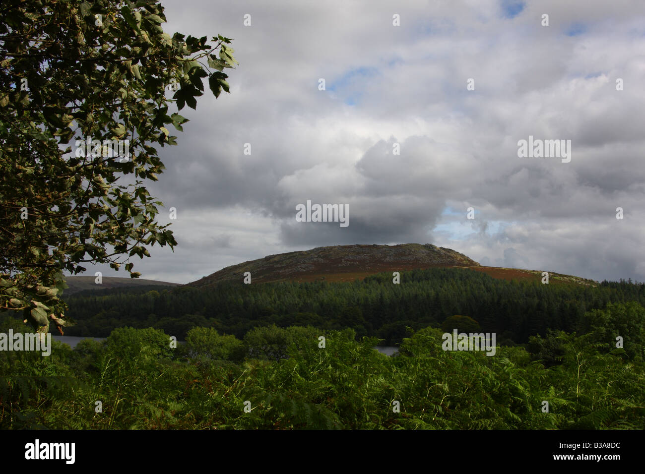A tor on the moor Stock Photo - Alamy