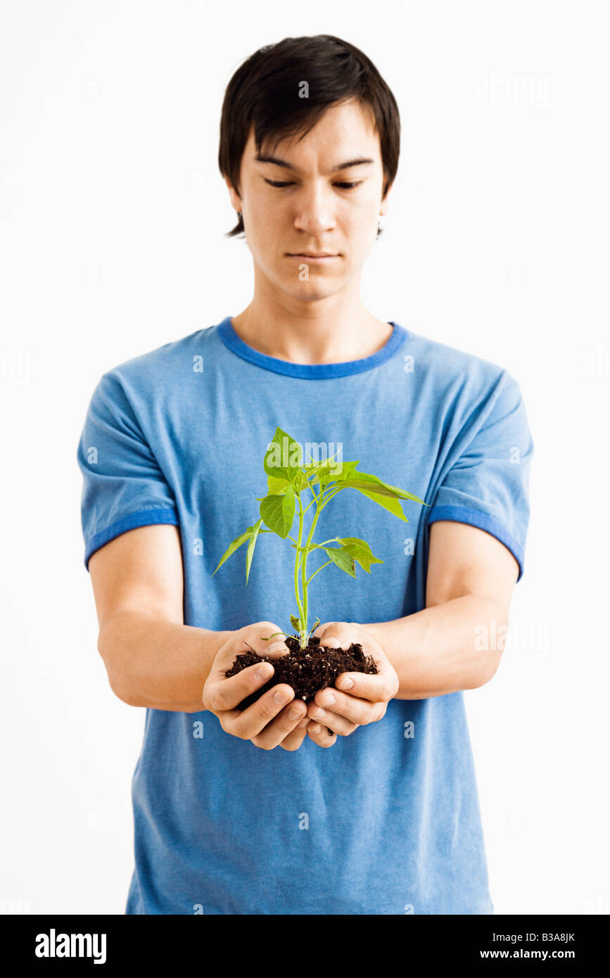 Growing asian herb hi-res stock photography and images - Alamy