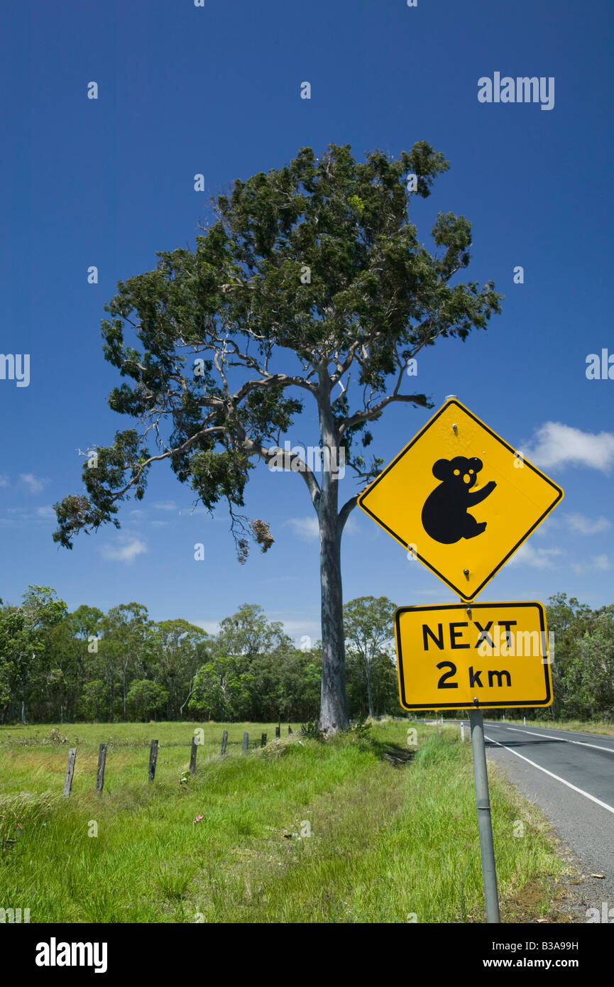 Australia, Queensland, Fraser Coast, Maryborough, Koala Crossing Sign ...