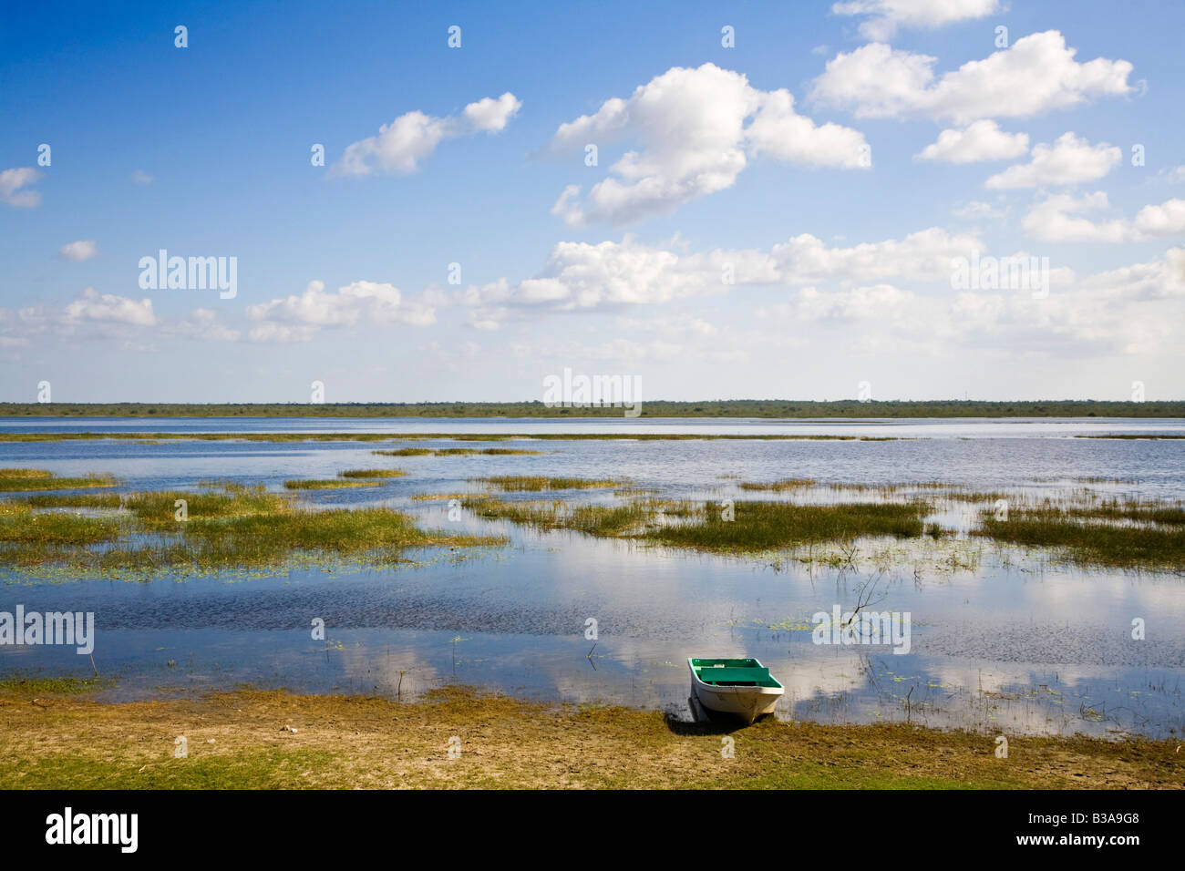 Belize, Crooked Tree Wildlife Sanctuary Stock Photo - Alamy