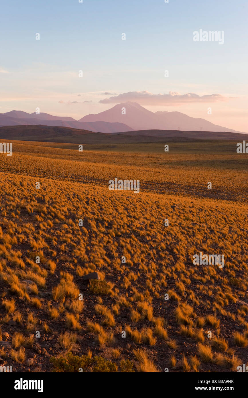 Chile, Norte Grande, Antofagasta Region, Atacama desert, Los Flamencos ...