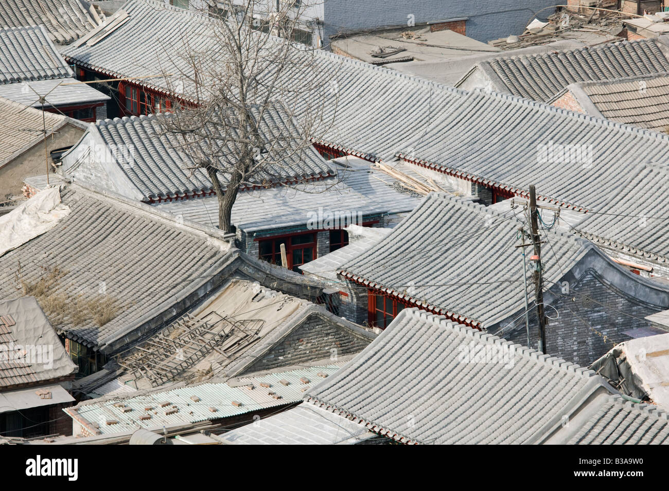 China, Beijing, Dongcheng District, Rooftop View of traditional Beijing ...