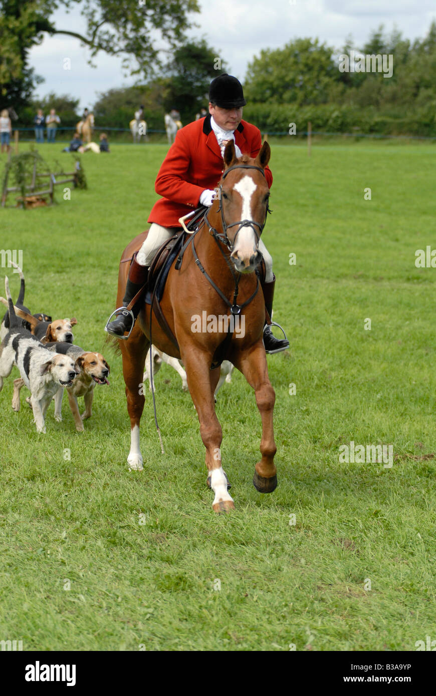 A traditional fox hunt hi-res stock photography and images - Alamy