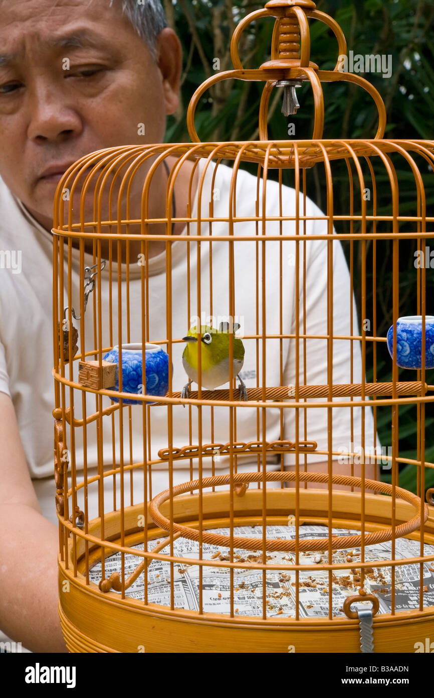 China, Hong Kong, Kowloon, Yuen Po Bird market Stock Photo - Alamy