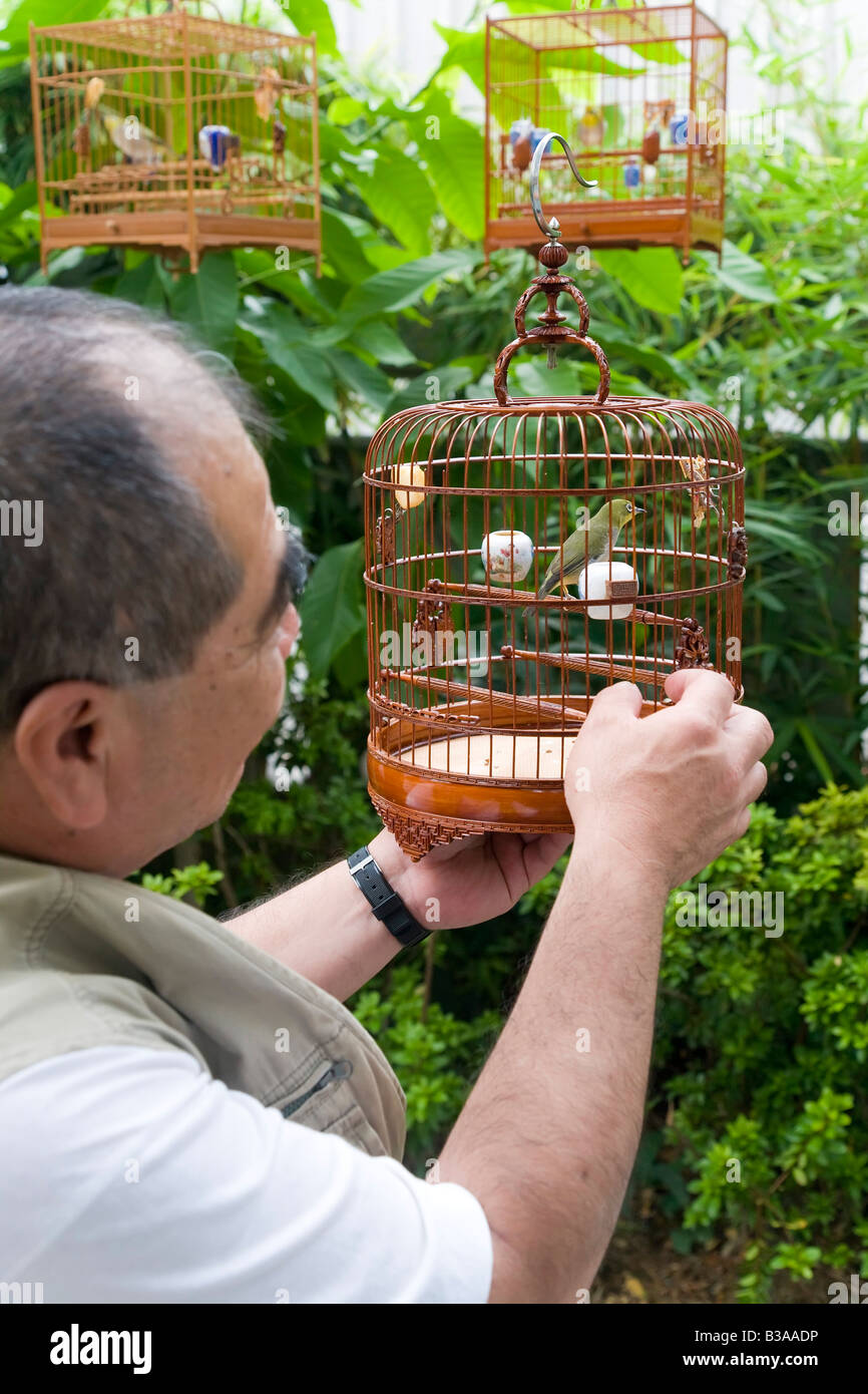 China, Hong Kong, Kowloon, Yuen Po Bird market Stock Photo - Alamy