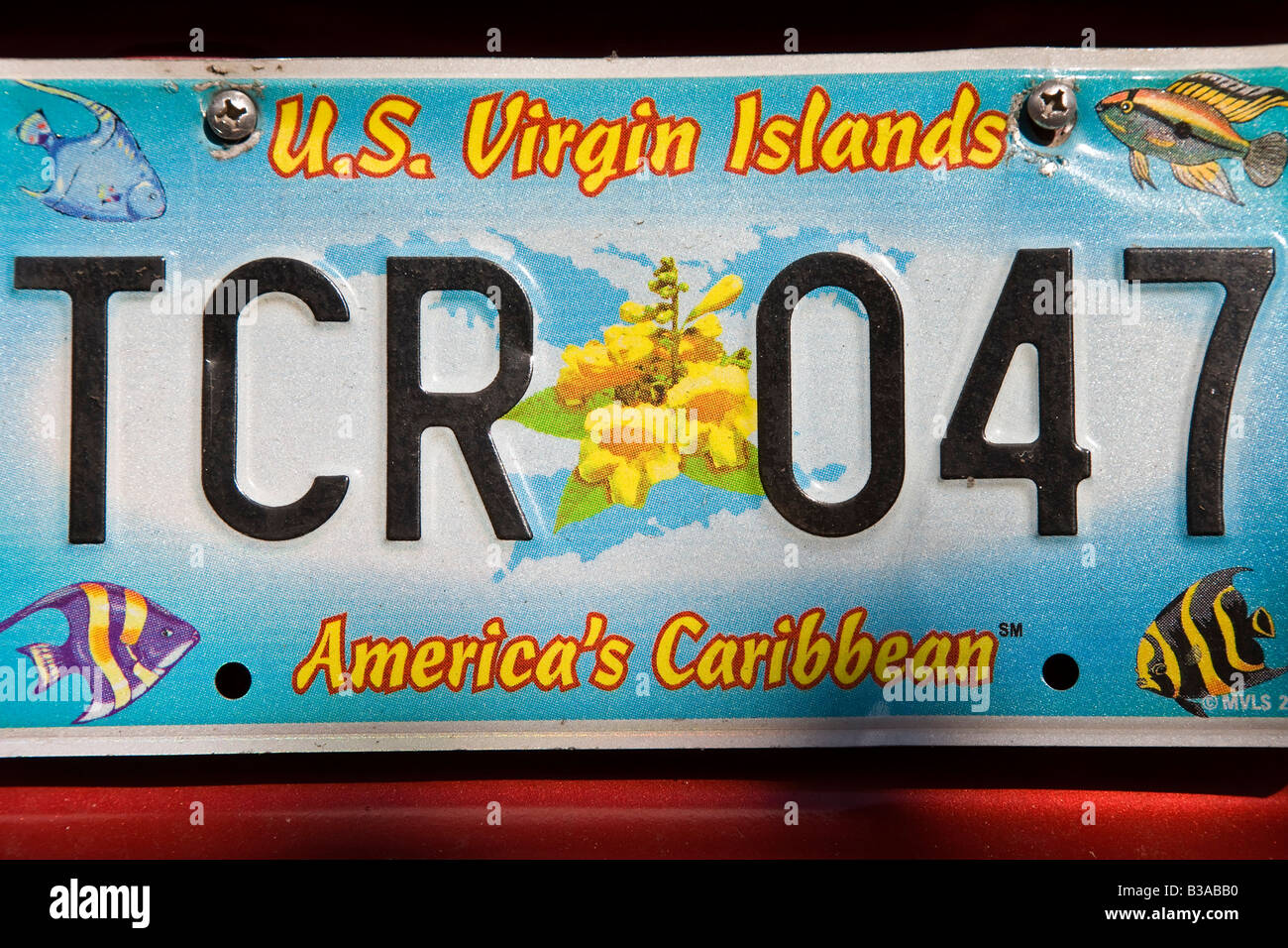 Caribbean, US Virgin Islands, St. Thomas, car license plate Stock Photo ...