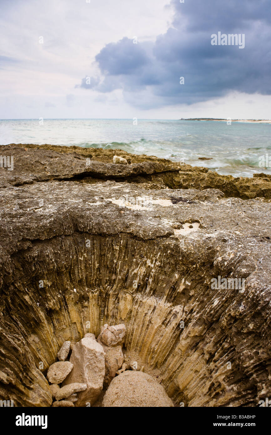 Rocky shore of limestone with fossils on the southern coast of Cozumel ...