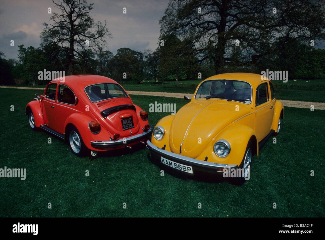 Classic gt beetle hi-res stock photography and images - Alamy