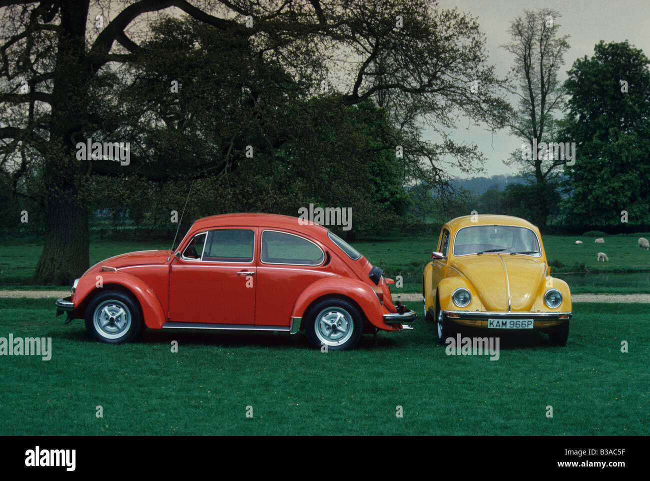 Volkswagen Beetle. Left 1973 GT, right 1975 1300 Stock Photo - Alamy