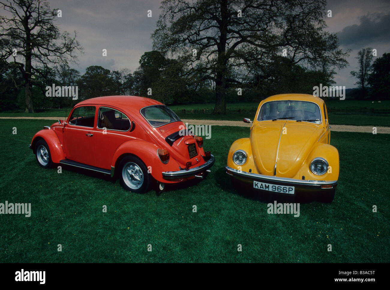 Classic gt beetle hi-res stock photography and images - Alamy