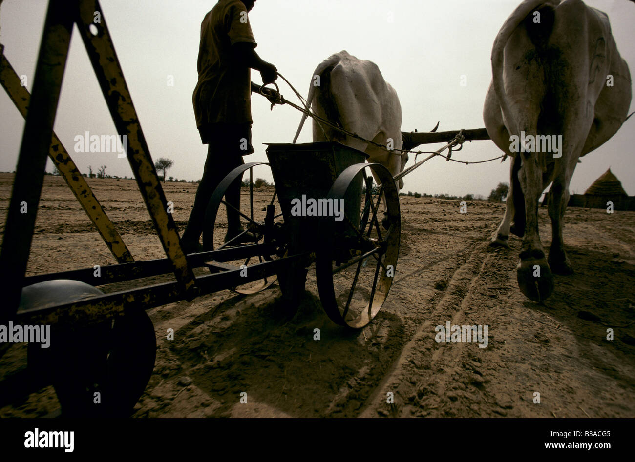 Cultivating field africa rear view hi-res stock photography and images ...