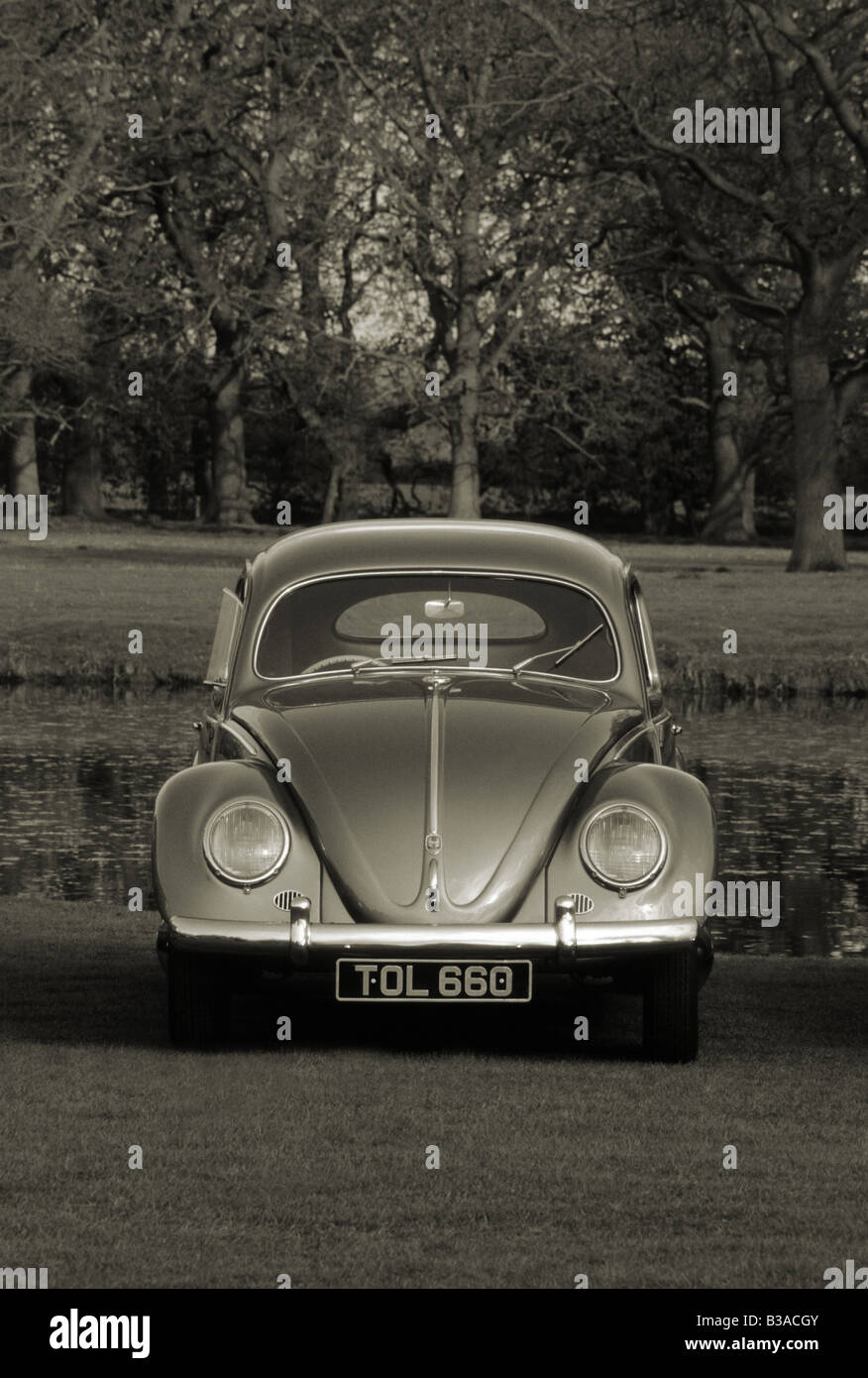 Vw beetle front hi-res stock photography and images - Alamy