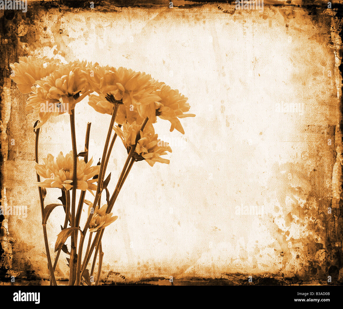 Flowers on grunge background Stock Photo - Alamy