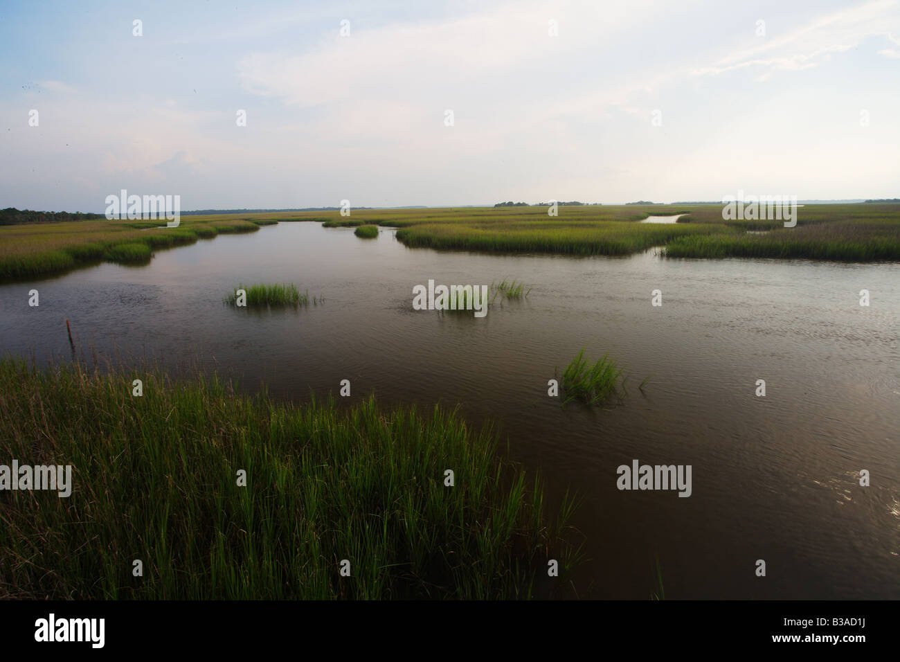 Wide angle view of the salt marsh on Cumberland Island GA Stock Photo ...