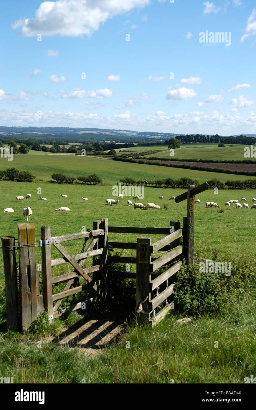English countryside sheep fence hi-res stock photography and images - Alamy