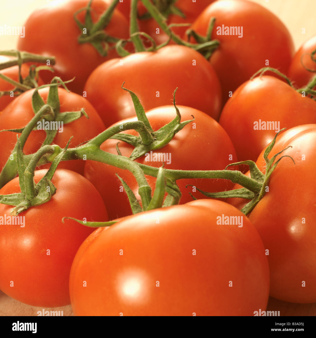 Classic stem hi-res stock photography and images - Alamy