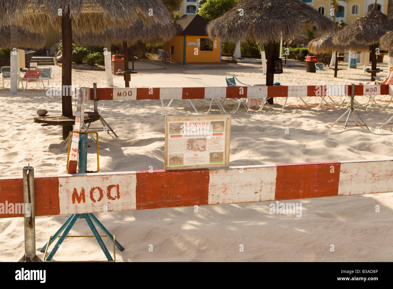 Protected sea turtle nesting area on Eagle Beach Aruba Stock Photo - Alamy
