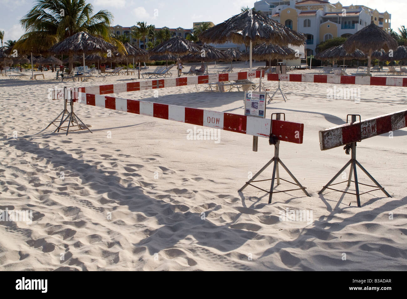 Sea turtle nesting area on Eagle Beach Aruba Stock Photo - Alamy