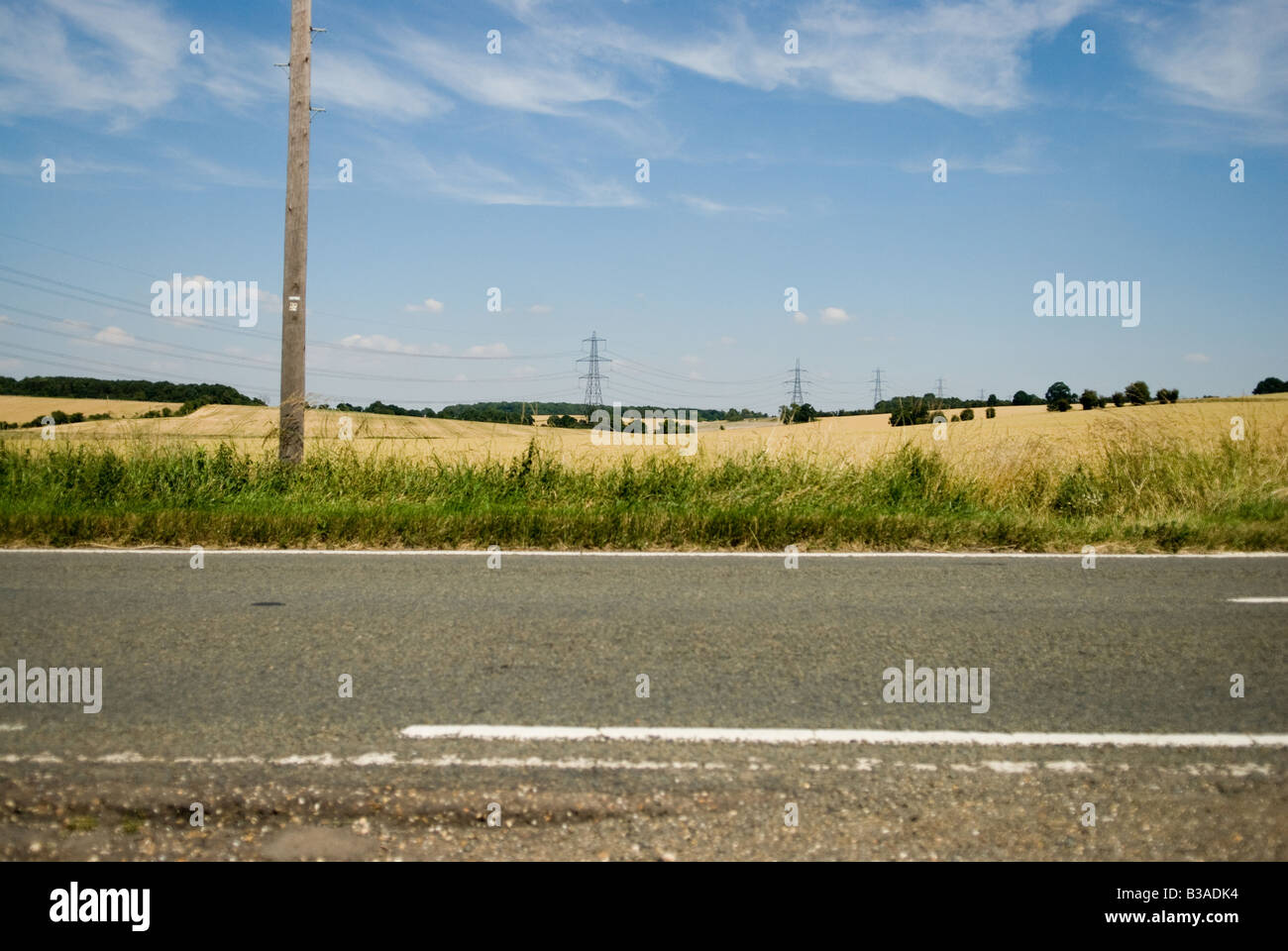 UK country landscape Hertfordshire telegraph pole pylons wheat fields ...