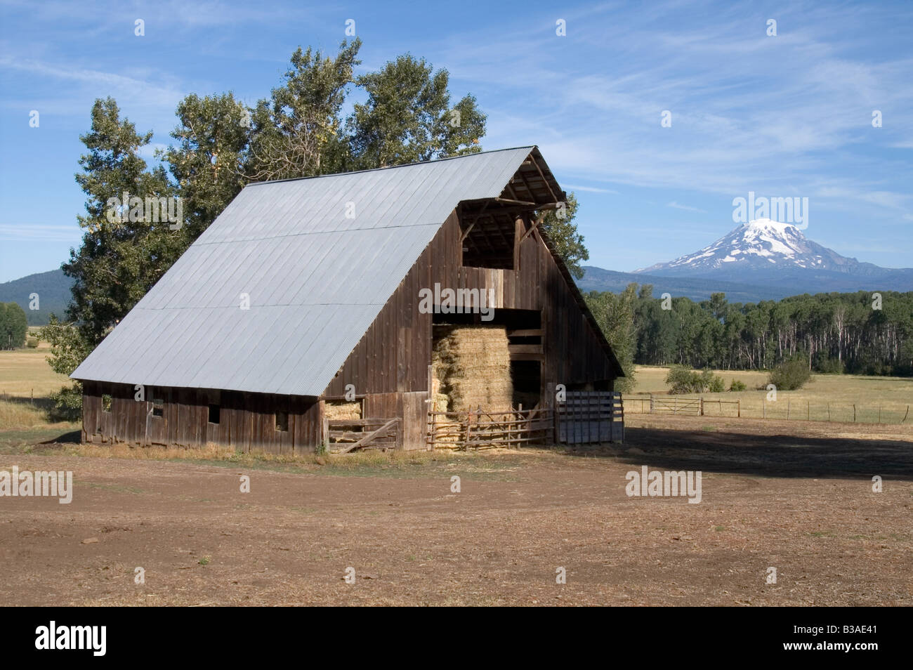 Mt Adams and Farm Ranch Barn full of Hay Bales Cascade Mountains ...