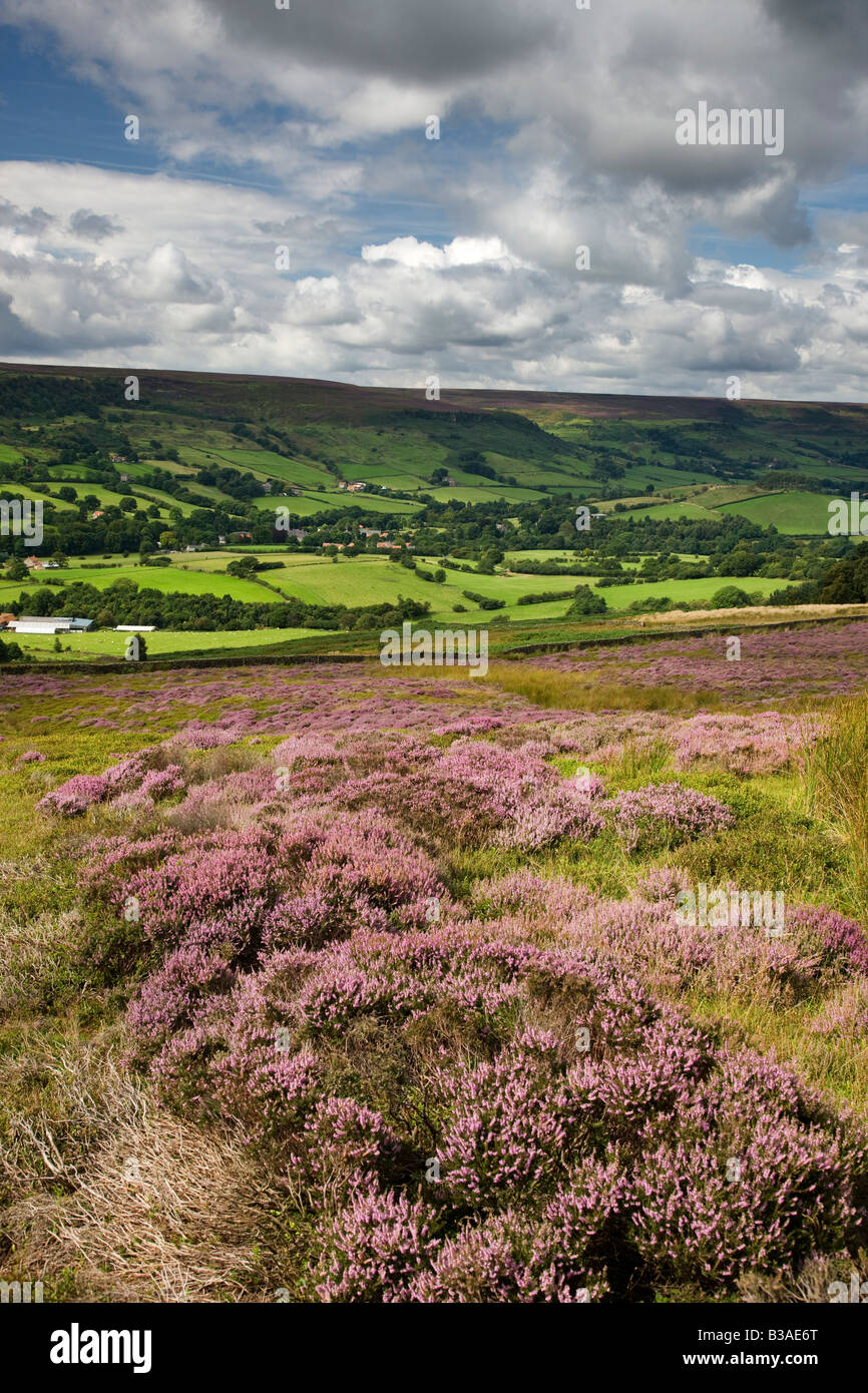 Heather moorland hi-res stock photography and images - Alamy