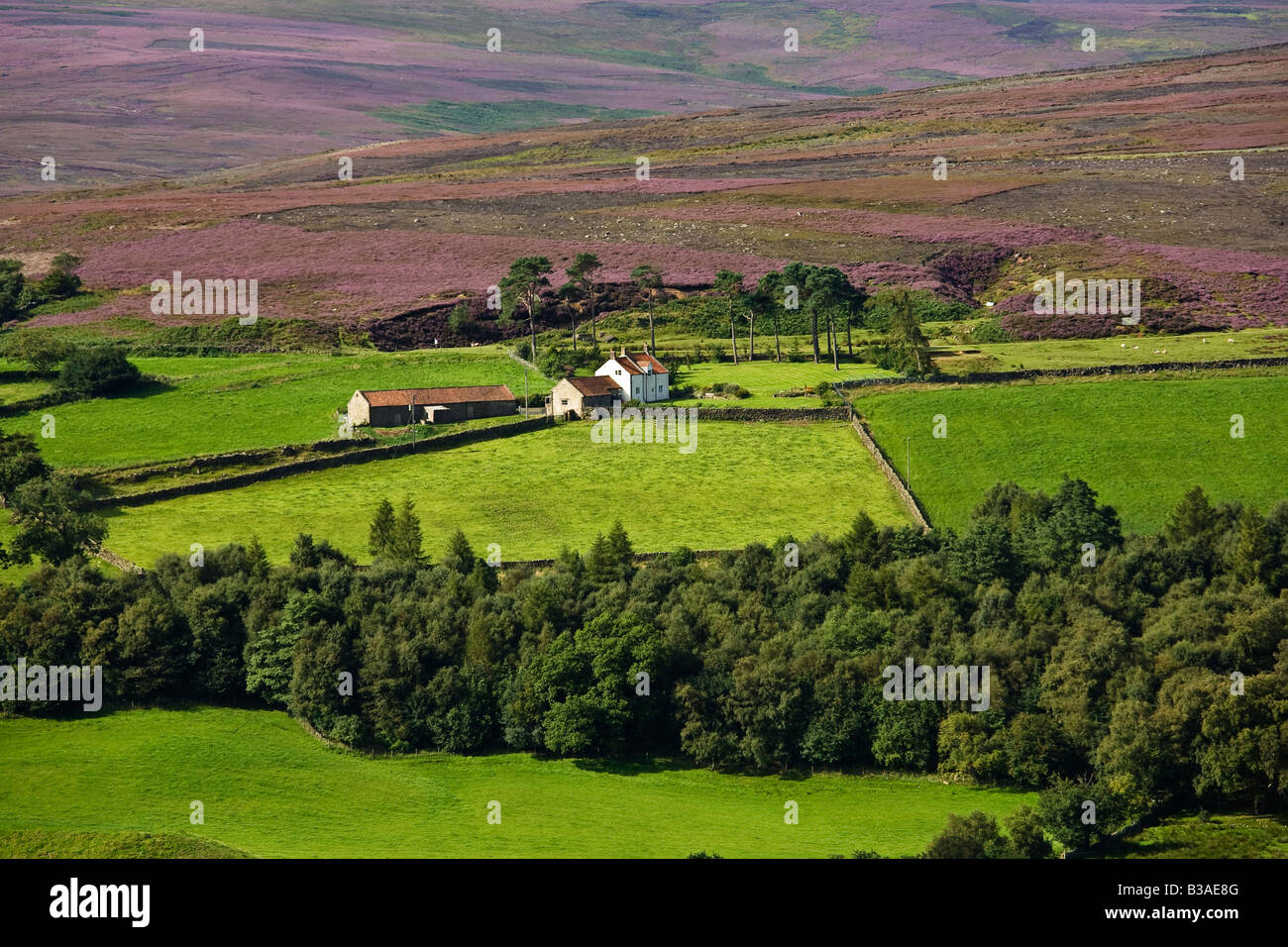 Commondale north yorkshire hi-res stock photography and images - Alamy