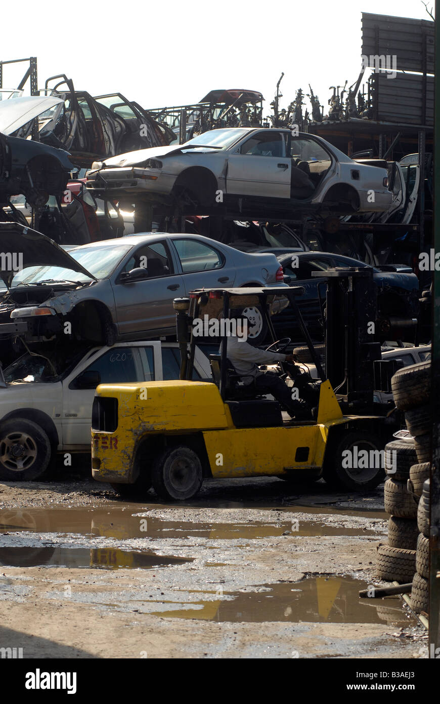 Automobile repair related businesses take up the bulk of the industry ...