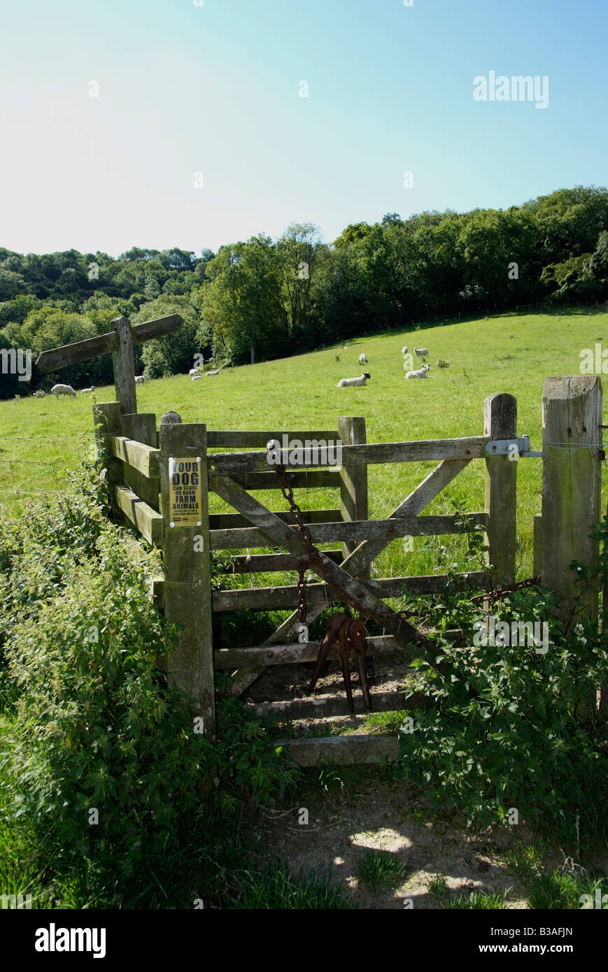 Wooden kissing gate set on a public path english countryside UK Stock ...