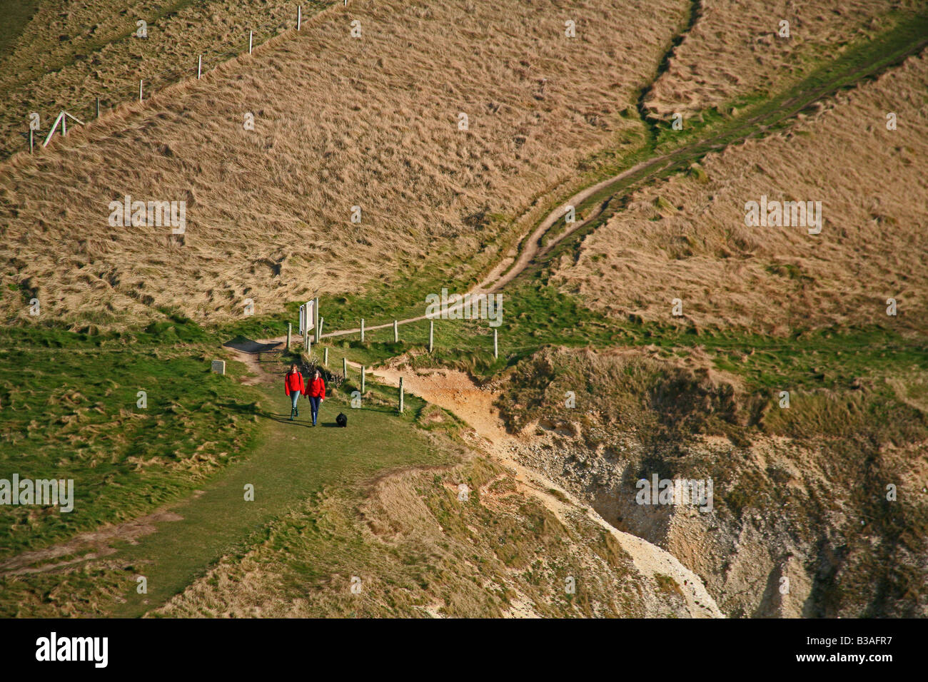 Scratchy bottom hi-res stock photography and images - Alamy