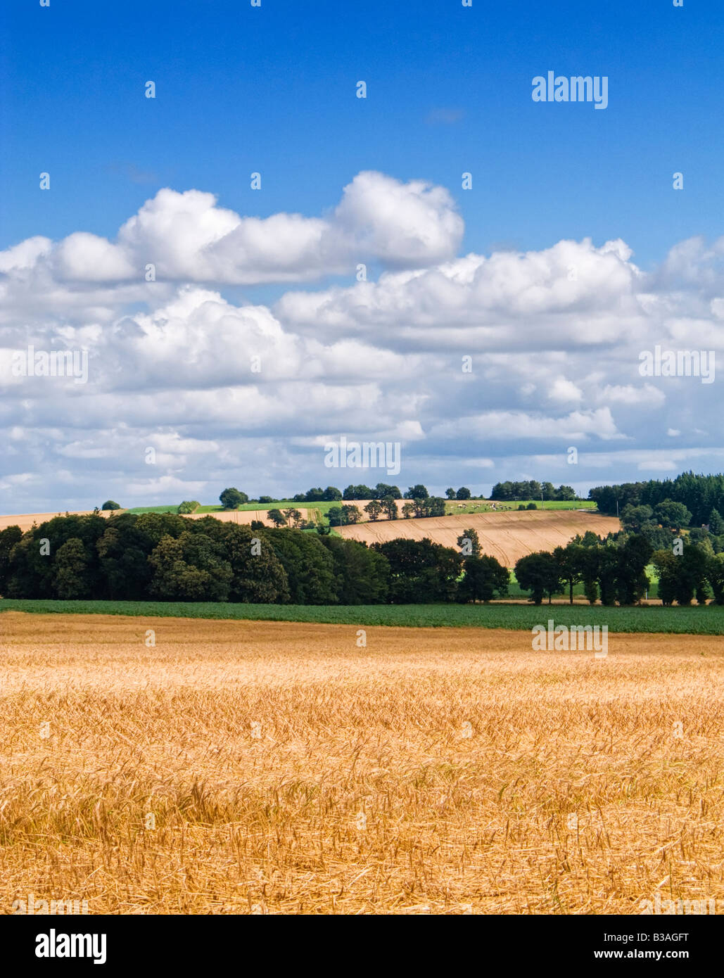 Brittany landscape hi-res stock photography and images - Alamy