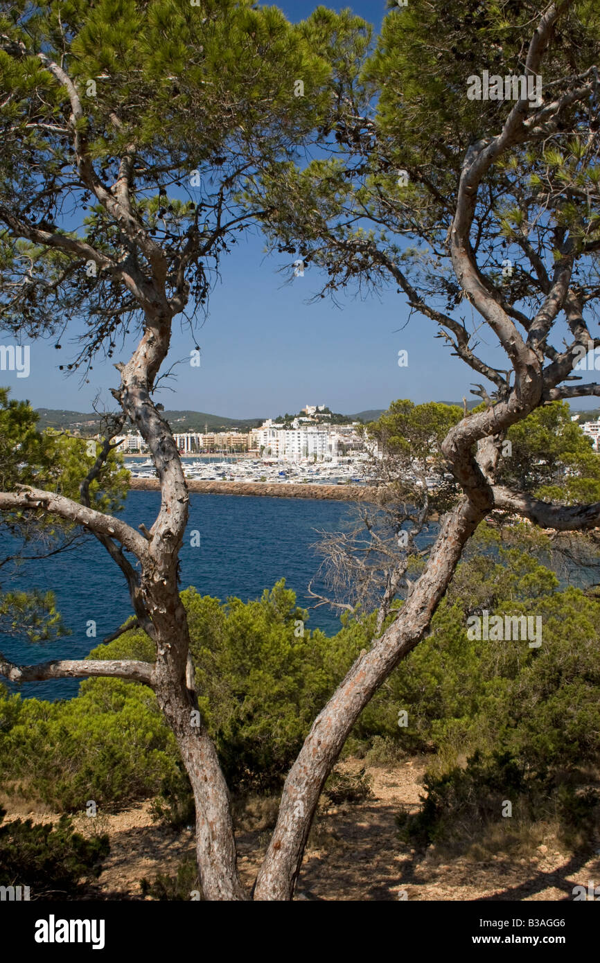 Pine trees ibiza hi-res stock photography and images - Alamy