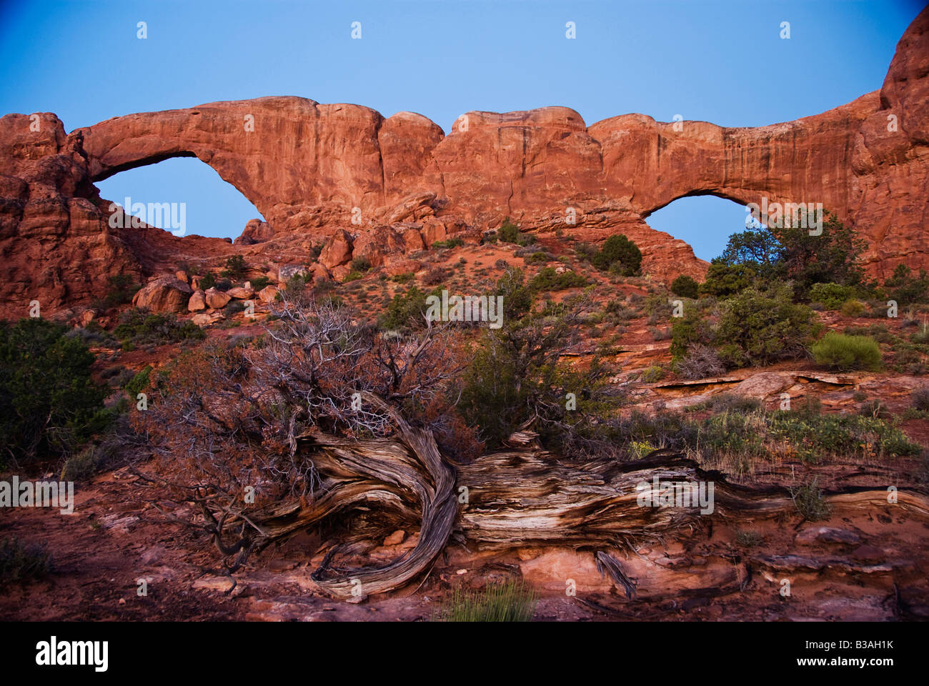 The Windows Arches National Park Utah Stock Photo - Alamy