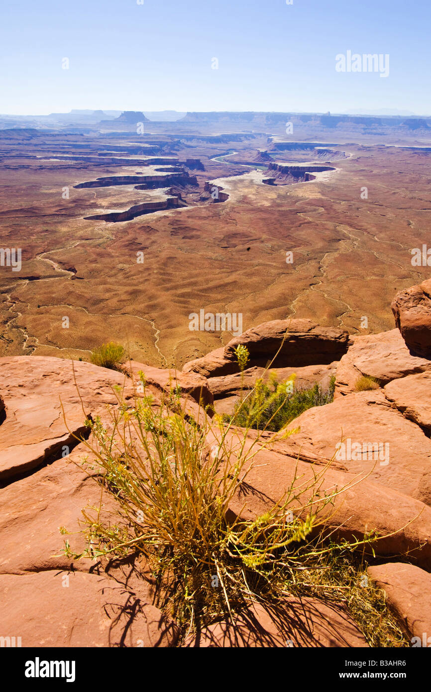 Buck Canyon Overlook Canyonlands National Park Utah Stock Photo - Alamy