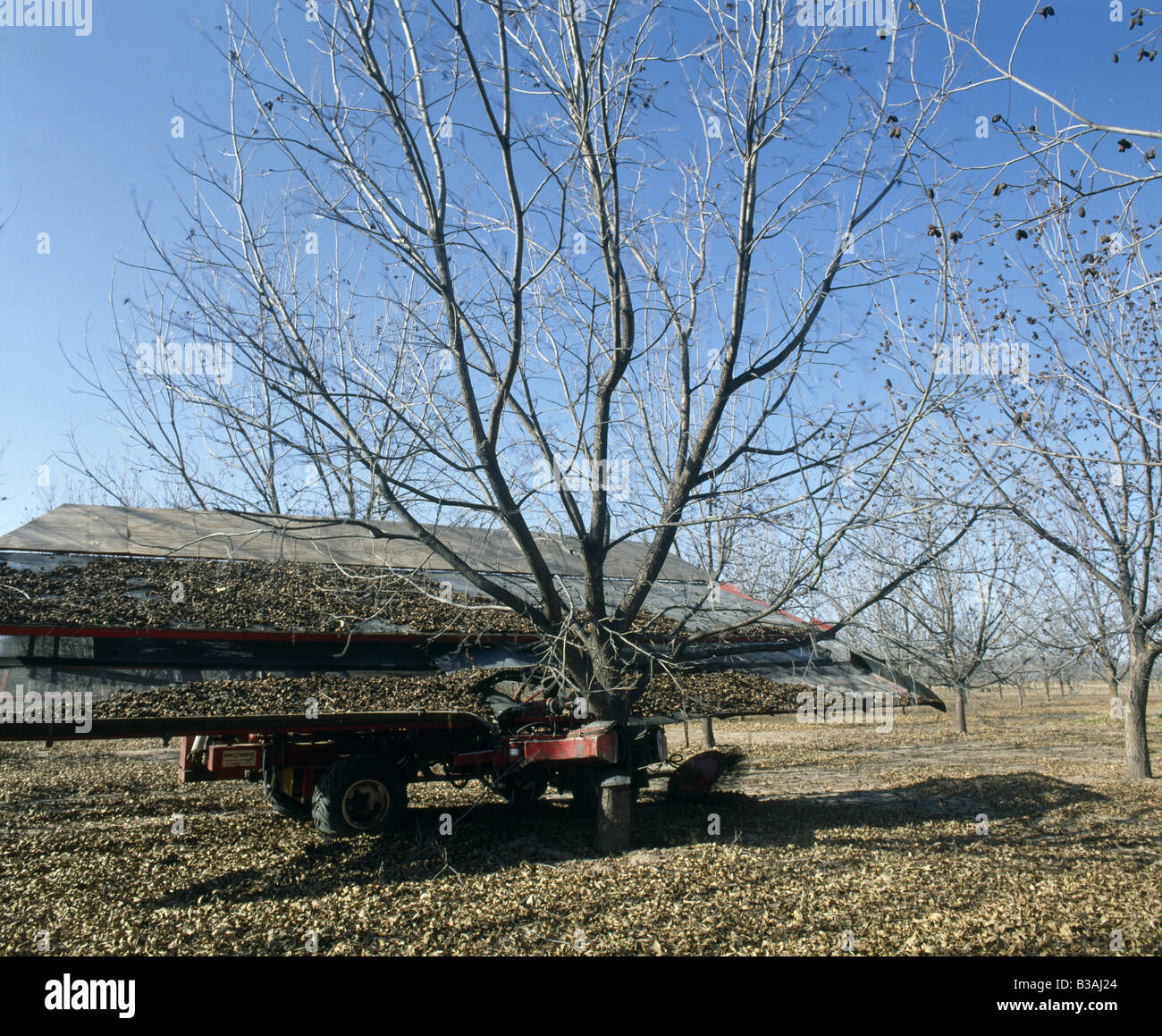 Walnut grove georgia hi-res stock photography and images - Alamy