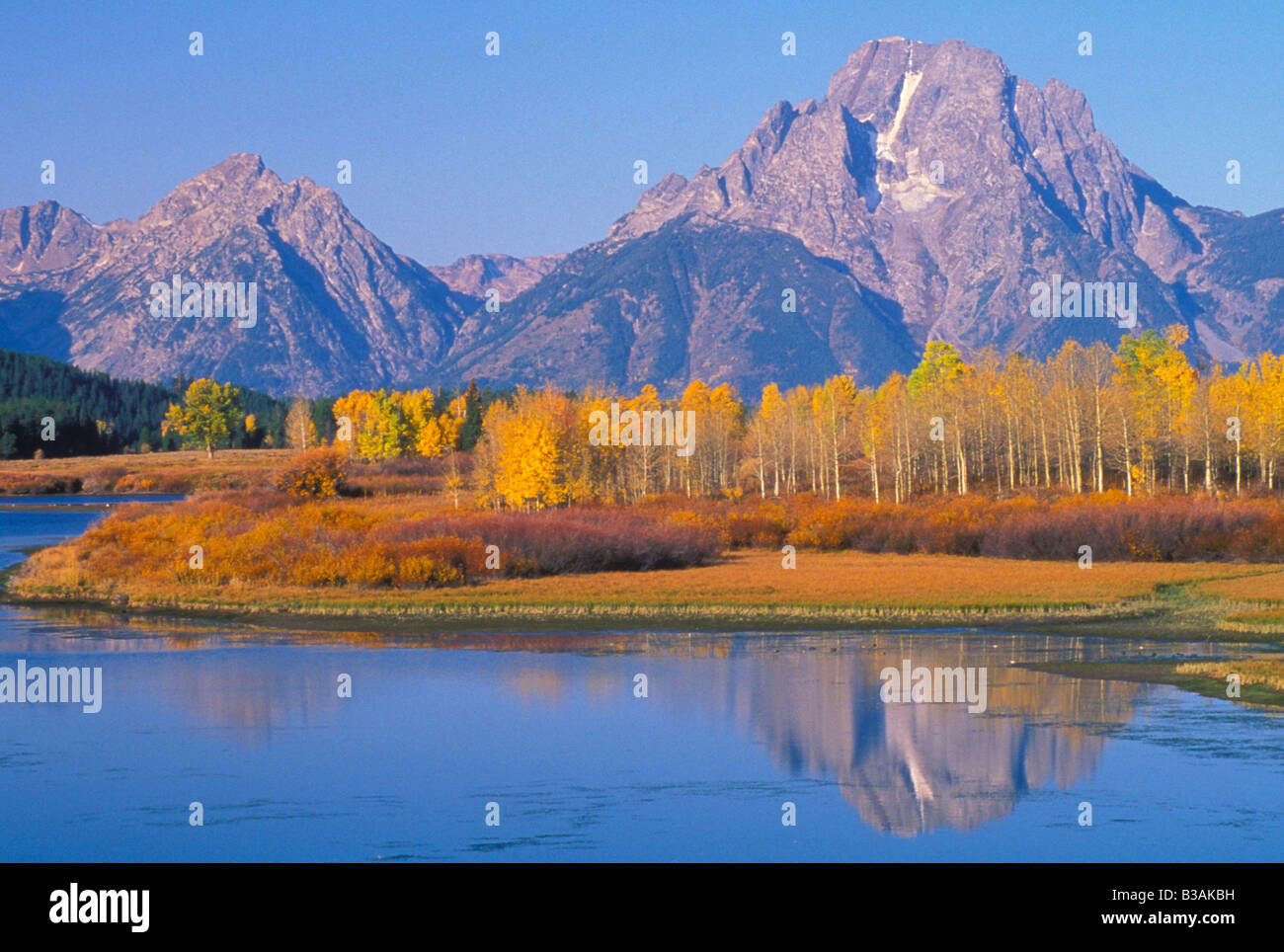 WYOMING, Jackson Hole, Autumn colors of Oxbow Bend on the Snake River ...