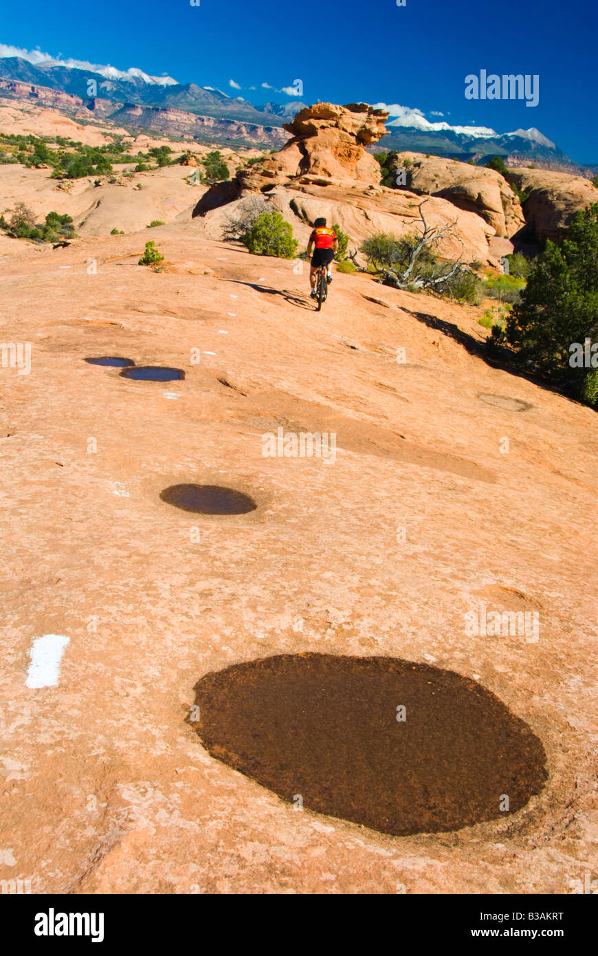 Mountain biker riding the Slickrock Bike Trail out of Moab Utah Stock ...