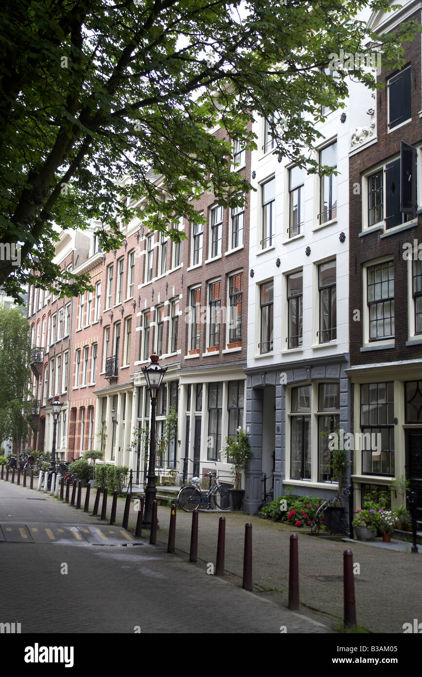 Pretty tree lined street in Amsterdam Stock Photo - Alamy