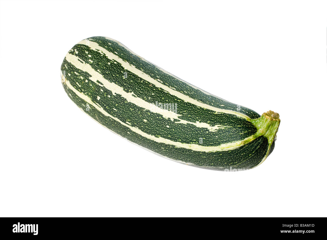 The marrow hi-res stock photography and images - Alamy