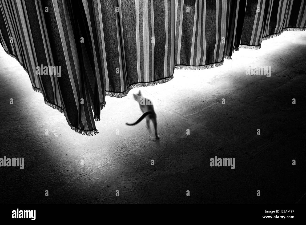 Under the curtain hi-res stock photography and images - Alamy