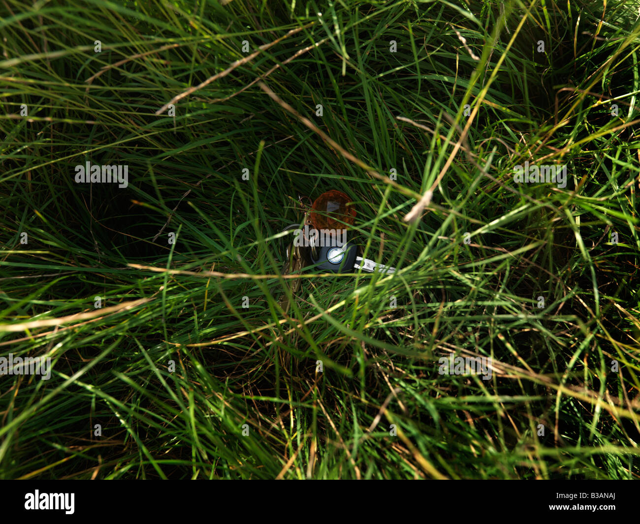 Keys Lost in Long Grass Stock Photo - Alamy
